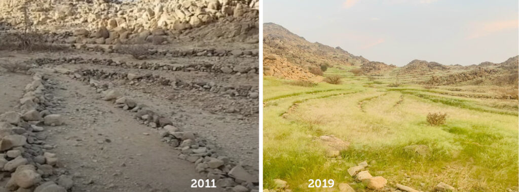 Designing for Drought Resilience - AgSpire