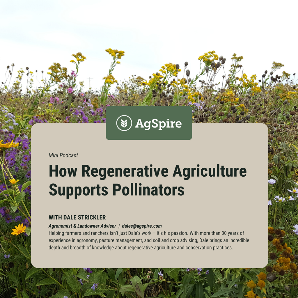 Supporting Pollinators with Regenerative Agriculture - AgSpire