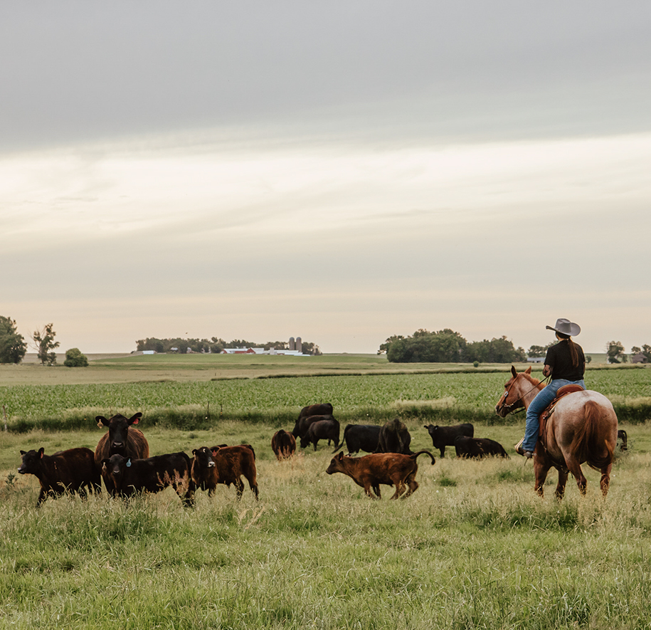 TAMU Beef Short Course - AgSpire